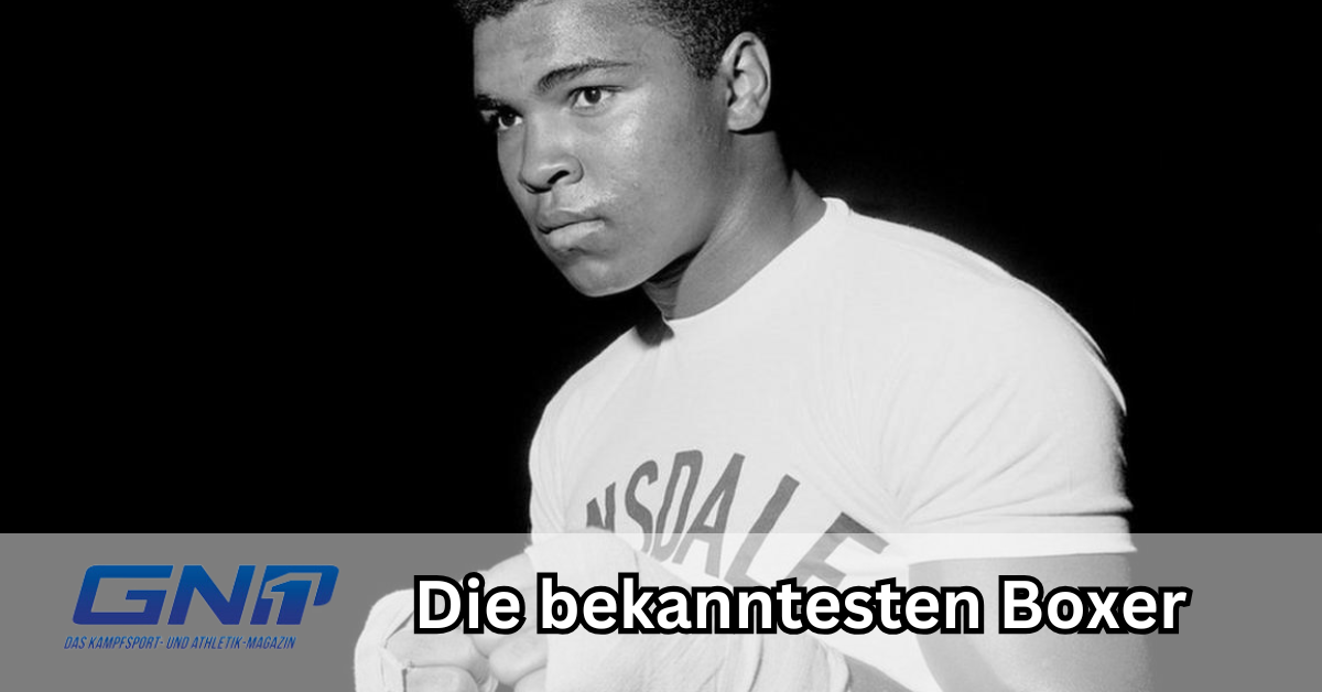 Der Beste Boxer Aller Zeiten